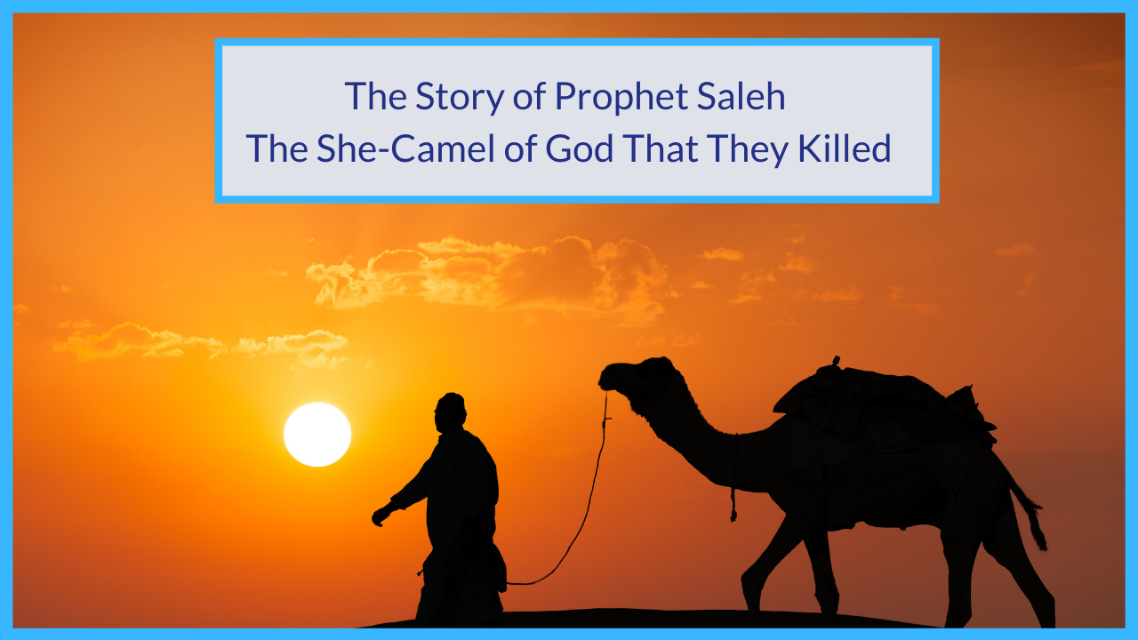 Shining a Light on Salih's People And The She-camel Miracle story